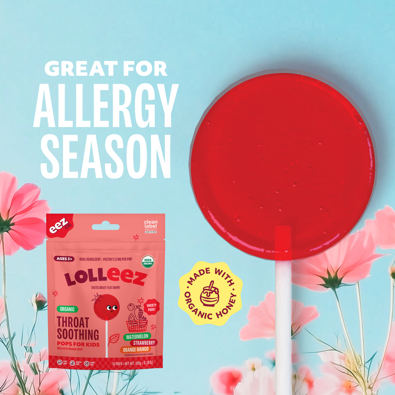 Sore Throat Lollipops, Lolleez (Variety Pack) – EEZ Co: A Wellness Company
